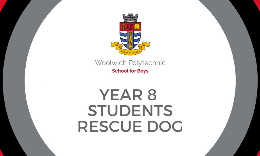 Woolwich Polytechnic School for Boys - Year 8 students rescue dog